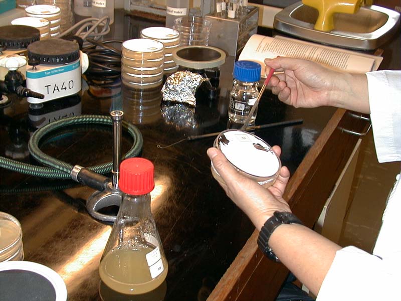 Microbiology - 18 March 2000