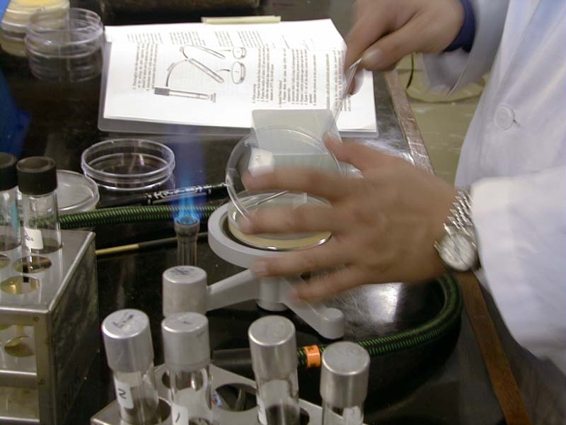 Microbiology - 18 March 2000